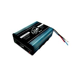 Gsl High Performance 200W Solar Charger